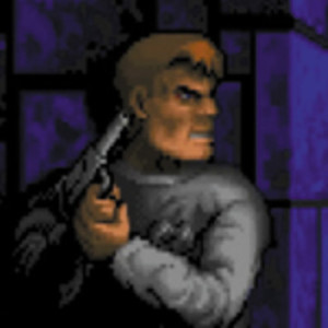 Play wolfenstein 3d - pingtaia