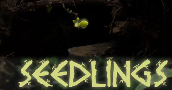 Seedlings - Play Online at GoGy Games