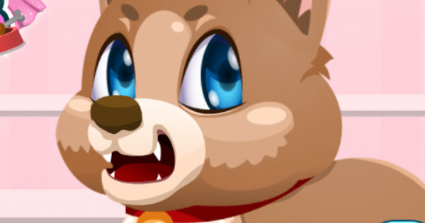 Stray Dog Care - Play Online at GoGy Games